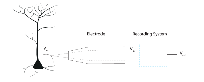 Electronics for Extracellular Electrophysiology — Electronics for Ephys ...