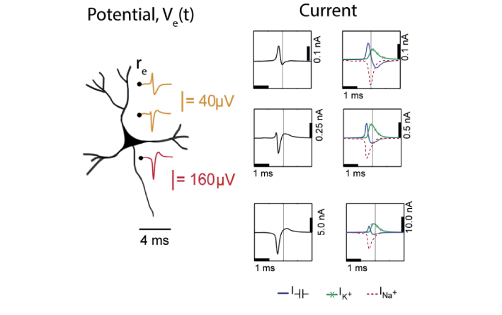 Electronics for Extracellular Electrophysiology — Electronics for Ephys ...